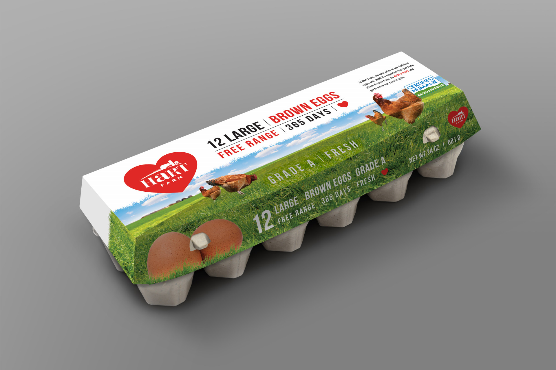 Hart Dairy | TOAST Creative Digital Agency